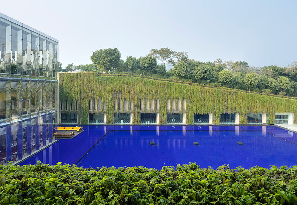 Jefferies India Forum