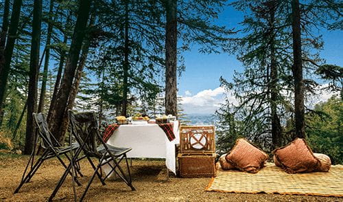 Best Resort in Shimla for a Summer Getaway | Wildflower Hall